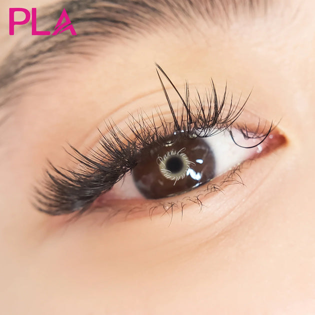 Debunking Fall Lash Shedding Season – Paris Lash Academy