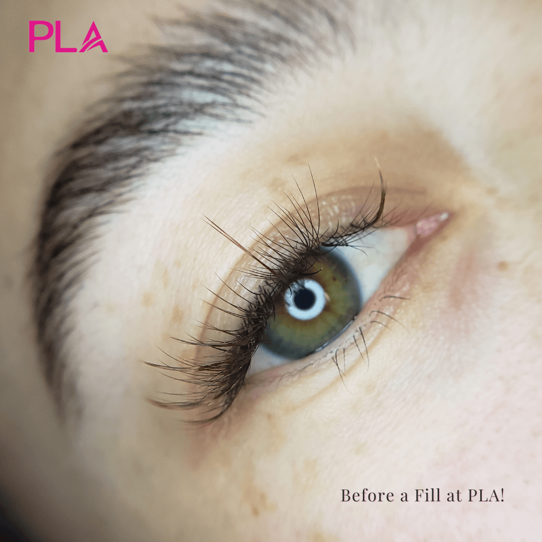 What Is A Foreign Lash Fill? – Paris Lash Academy