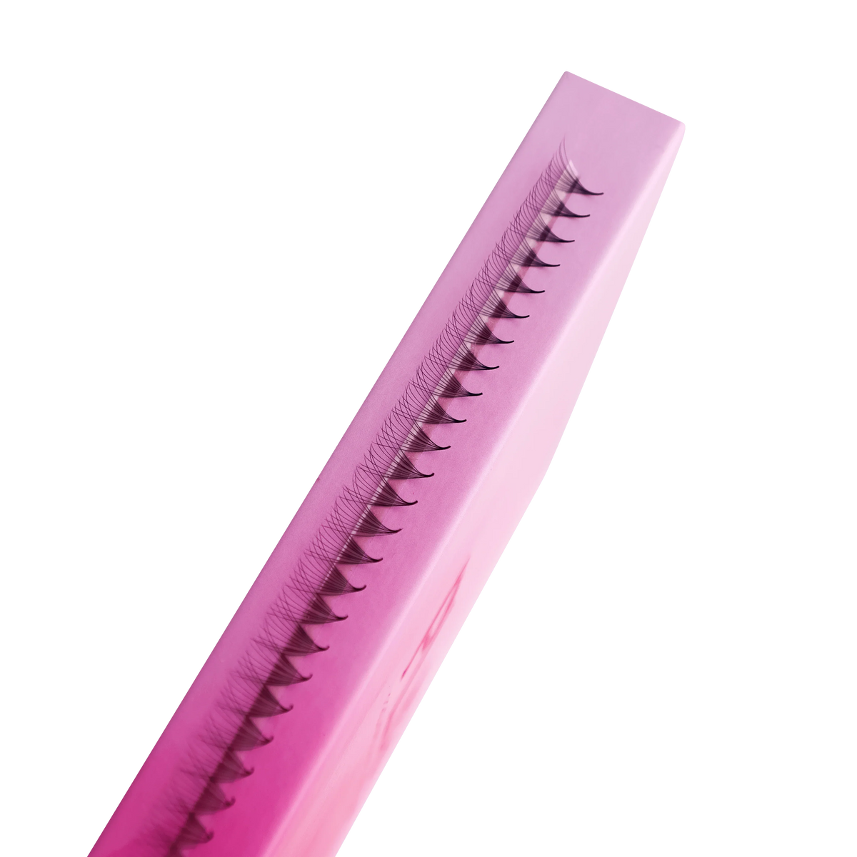 8D Mix Express Fans (FINAL SALE) – Paris Lash Academy