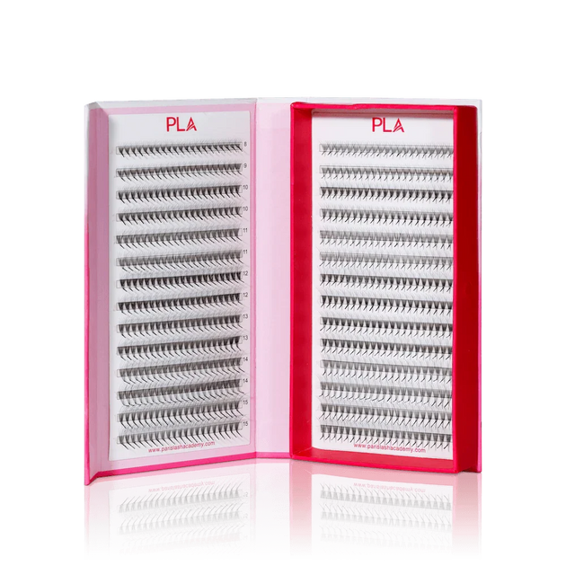 BOLD Lashes | PLA (Paris Lash Academy)